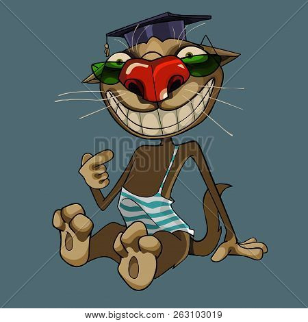 Cartoon Cat Hat Vector & Photo (Free Trial) | Bigstock