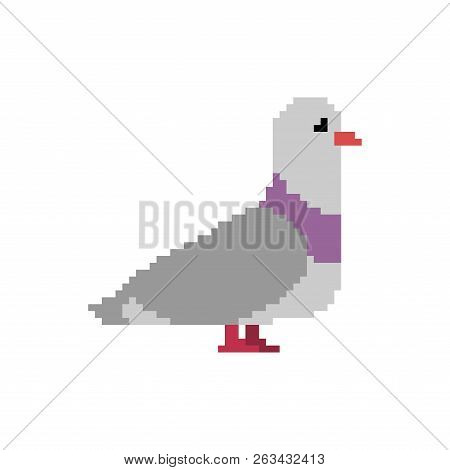 Pigeon Pixel Art. Vector & Photo (Free Trial) | Bigstock