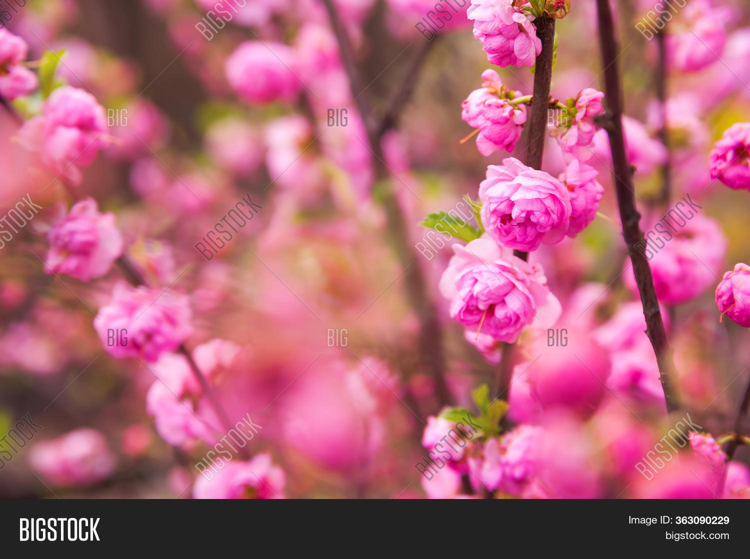 Natural Texture Image & Photo (Free Trial) | Bigstock