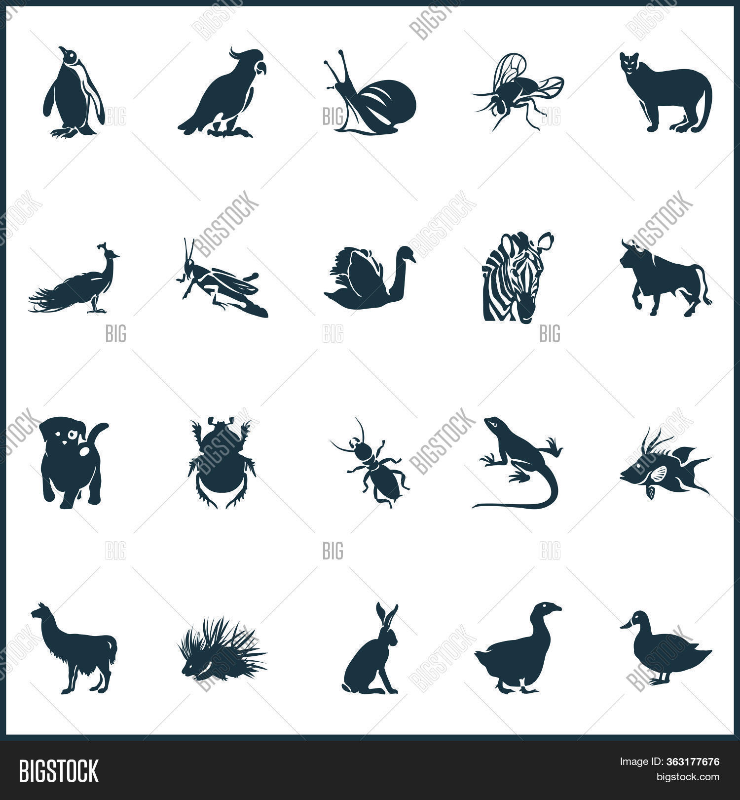 Animal Icons Set Image & Photo (Free Trial) | Bigstock