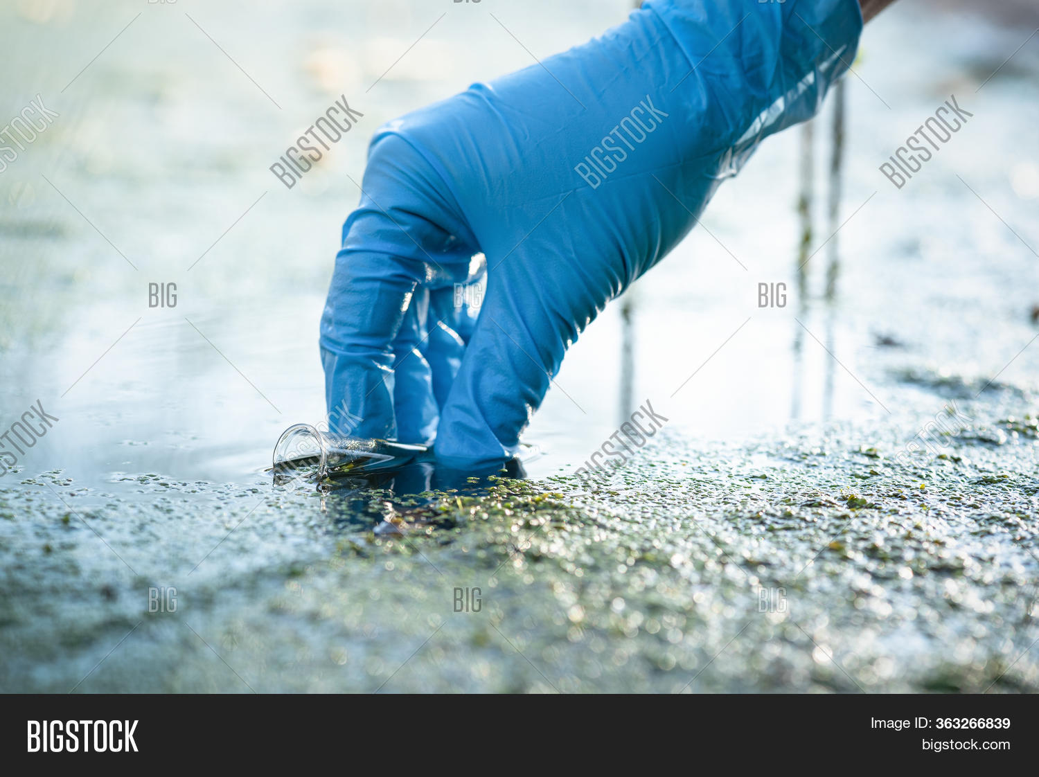 Pond Water Pollution Image & Photo (Free Trial) | Bigstock