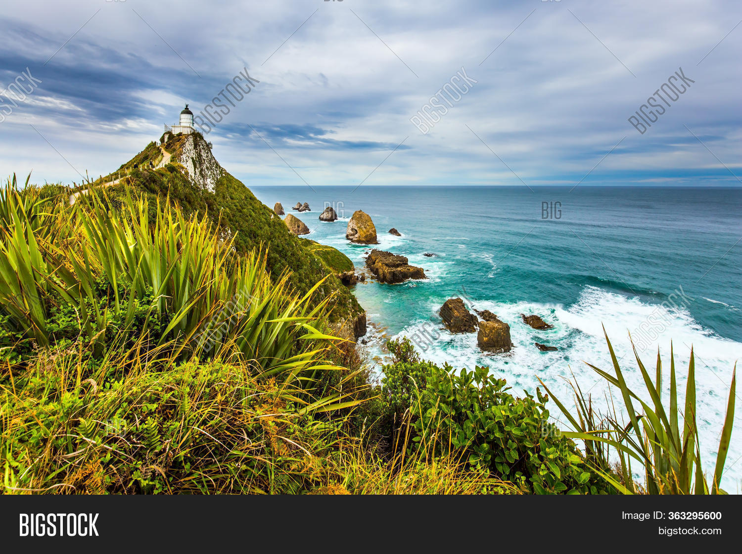 Nugget Point Image & Photo (Free Trial) | Bigstock