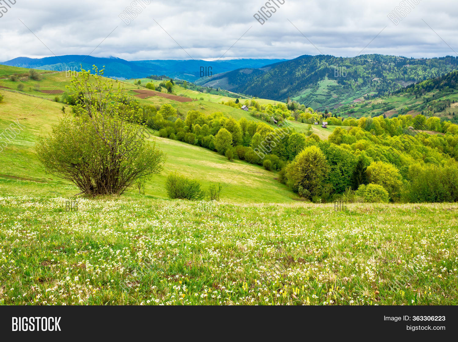 Beautiful Rural Image & Photo (Free Trial) | Bigstock