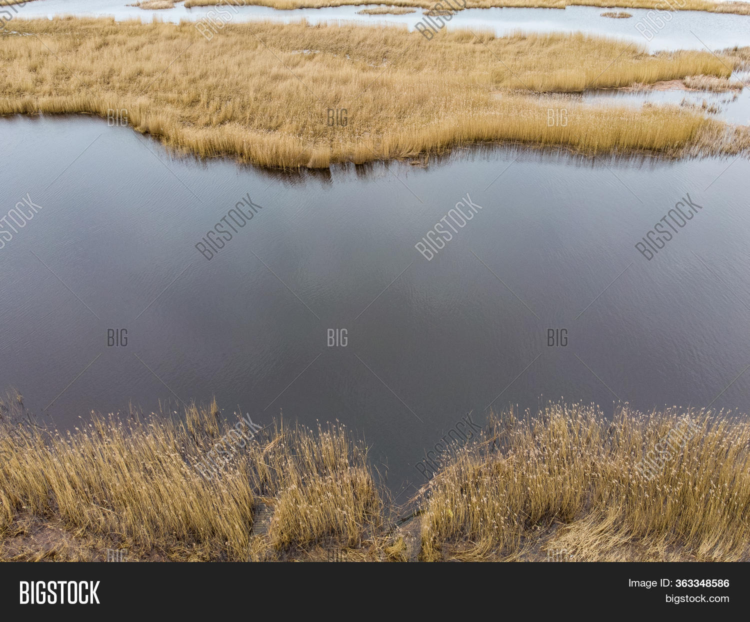 Photo Water Sea Grass Image & Photo (Free Trial) | Bigstock