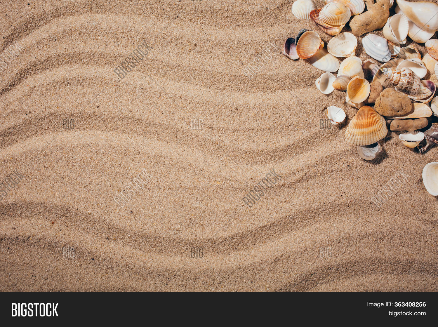 Top View Sandy Image & Photo (Free Trial) | Bigstock
