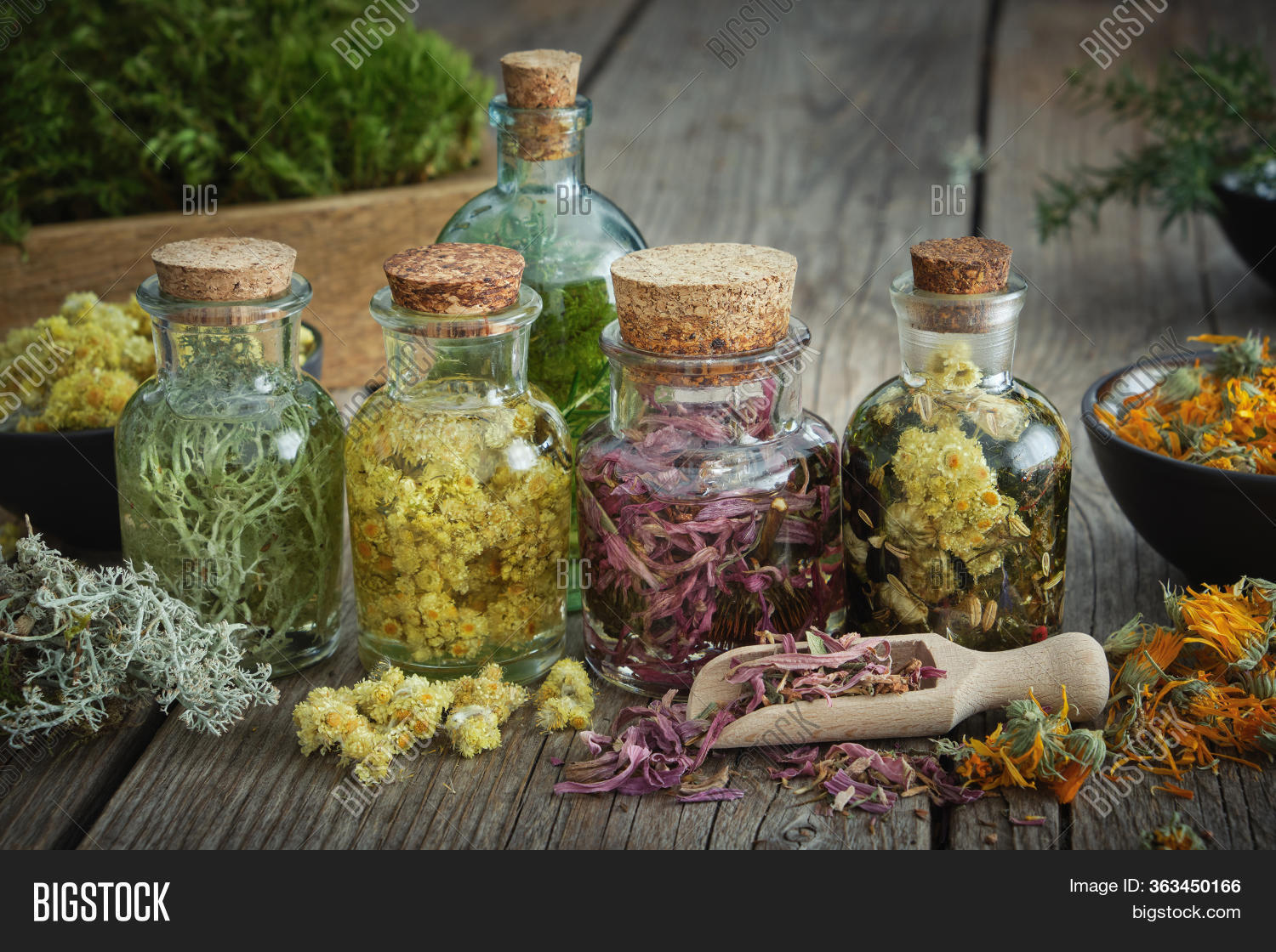 Bottles Tincture Image & Photo (Free Trial) | Bigstock