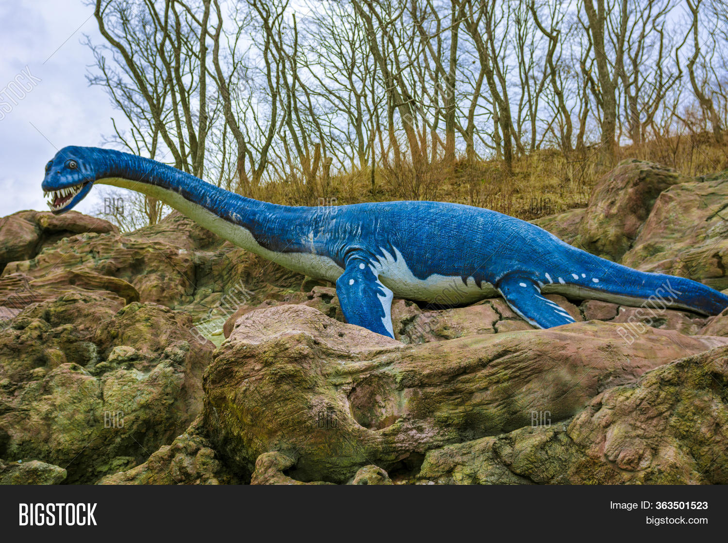 Aquarium On Russian Image & Photo (Free Trial) | Bigstock