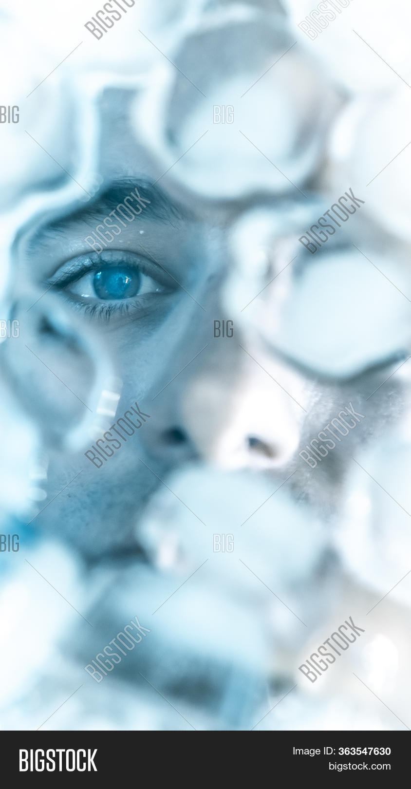 Male Eye On Ice Cubes Image & Photo (Free Trial) | Bigstock