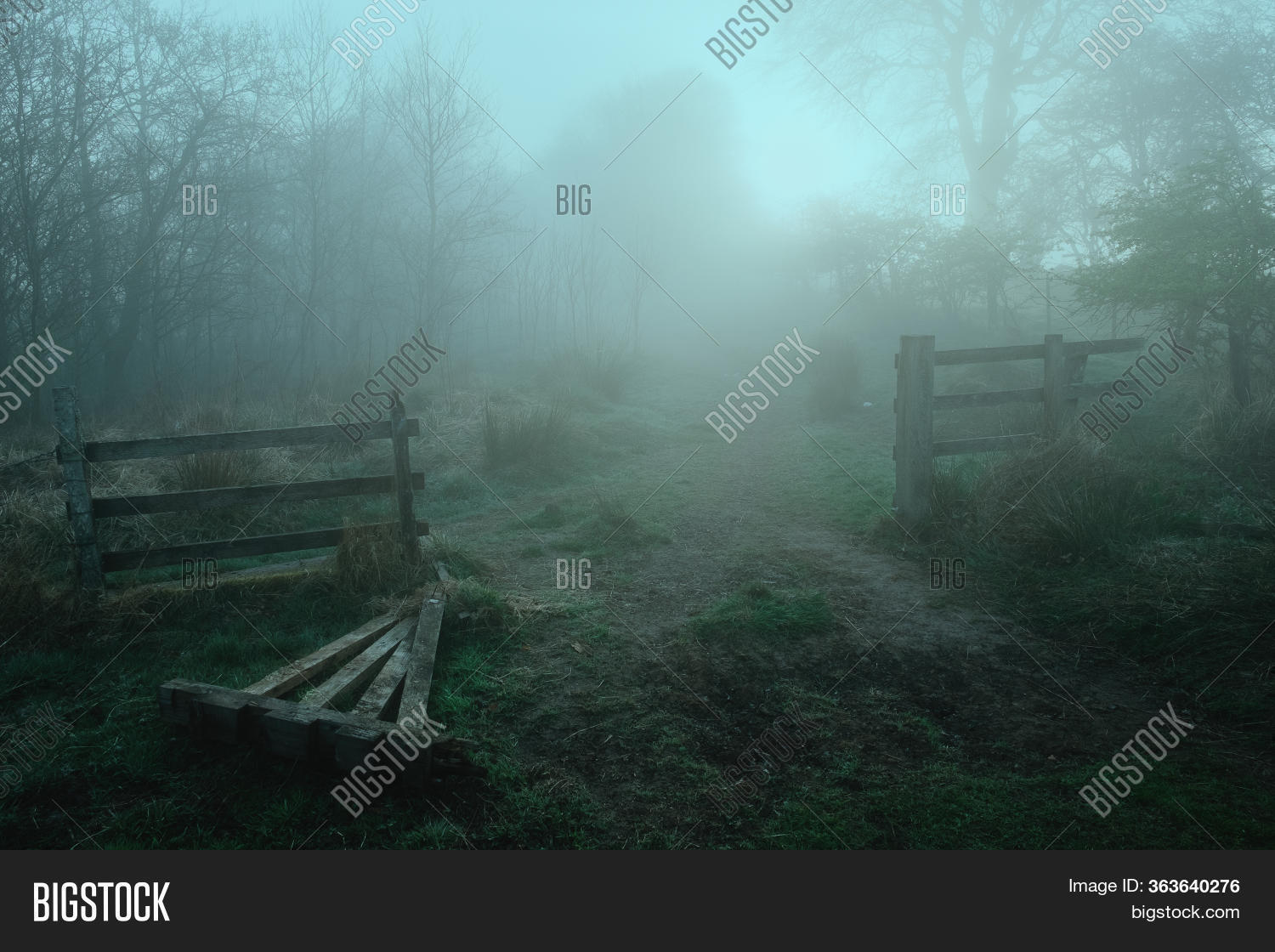 Old Broken Wooden Gate Image & Photo (Free Trial) | Bigstock