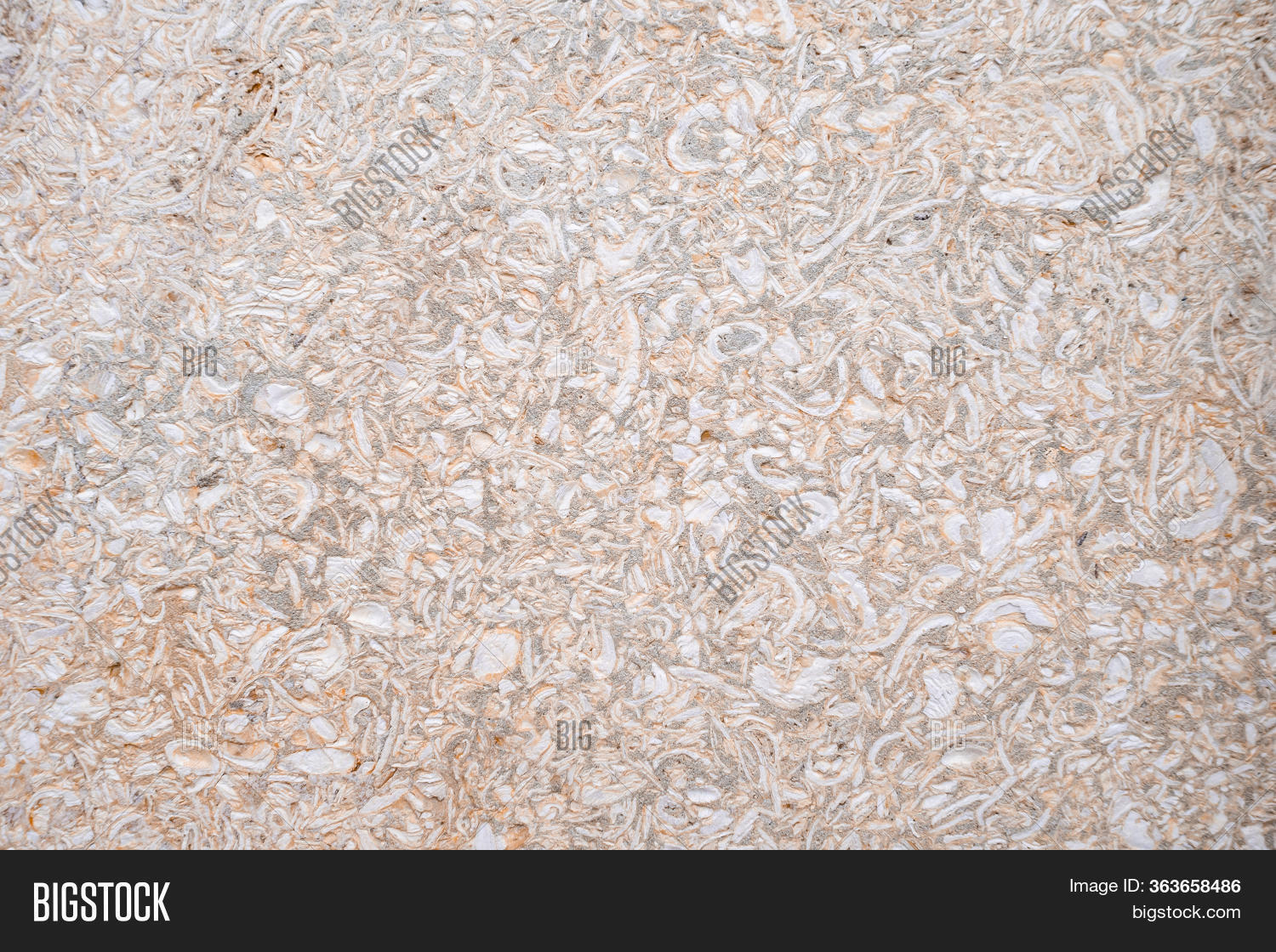 Coral Stone Texture