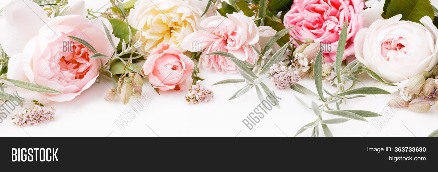 Festive Flower Image & Photo (Free Trial) | Bigstock