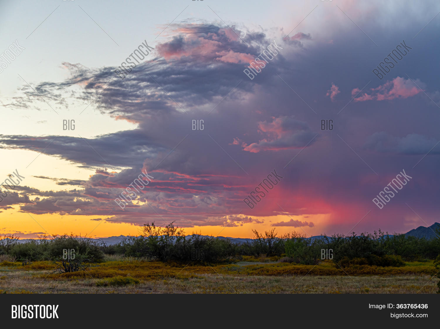 Distant Rain Sonoran Image & Photo (Free Trial) | Bigstock