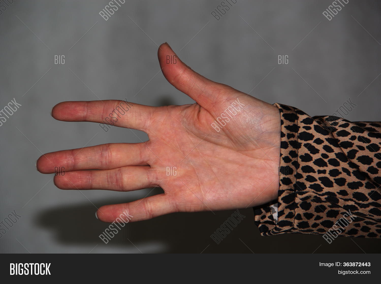 View Girl's Hand Palm Image & Photo (Free Trial) | Bigstock