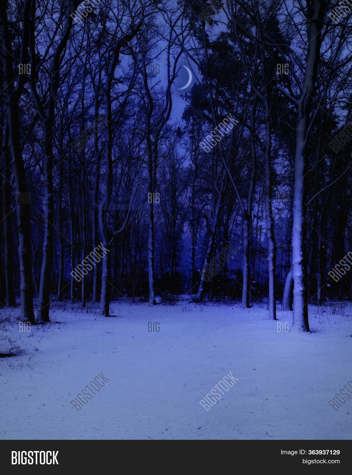 Very Cold Winter Month Image & Photo (Free Trial) | Bigstock