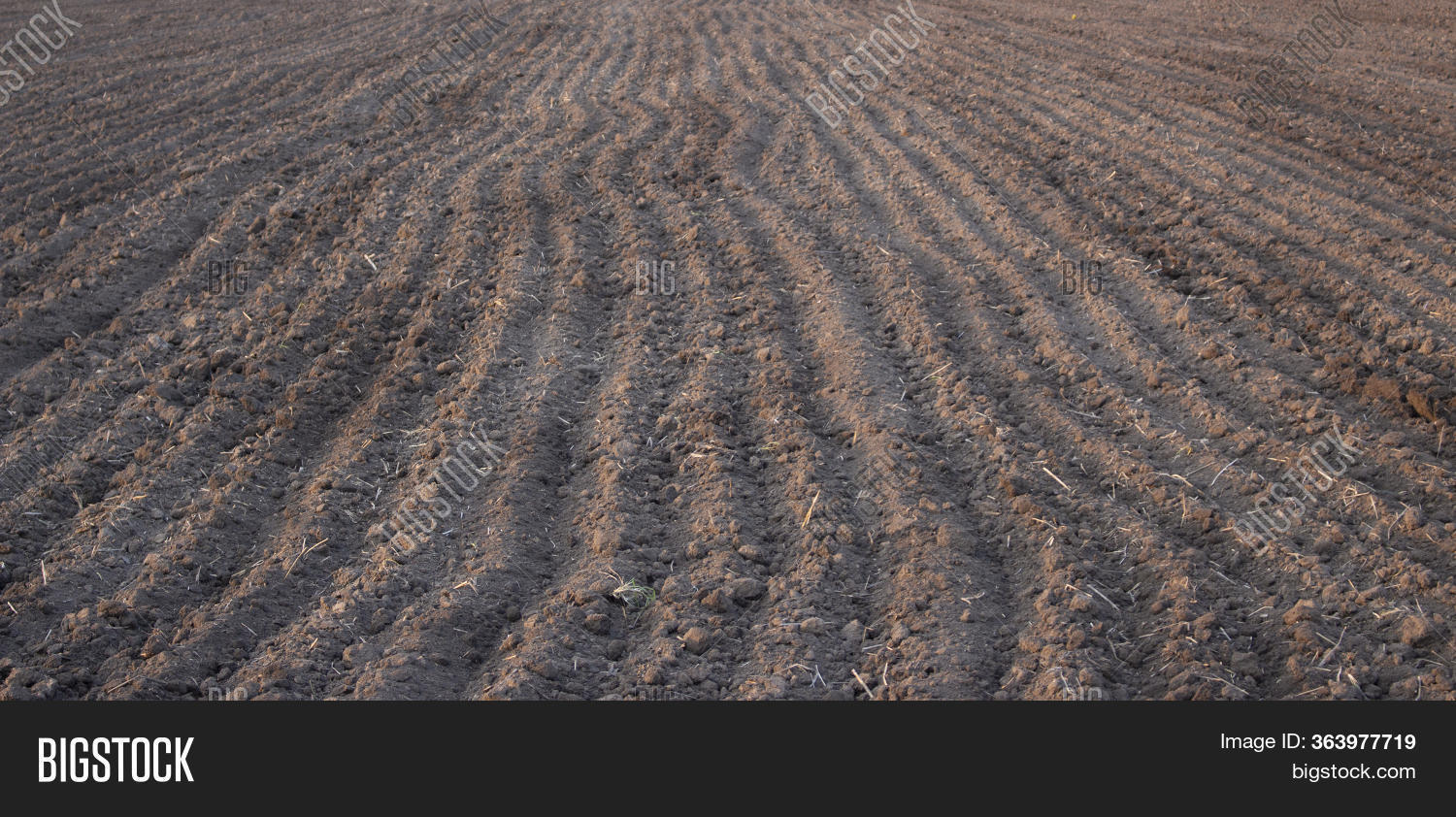Soil On Field Image & Photo (Free Trial) | Bigstock
