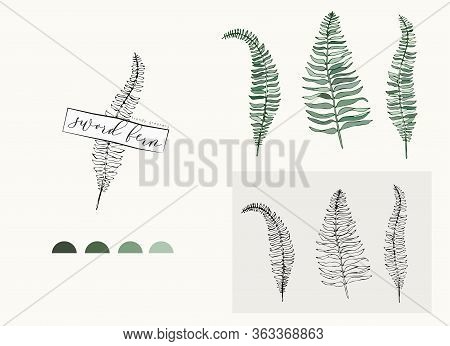 Leaf Drawn Images, Illustrations & Vectors (Free) - Bigstock