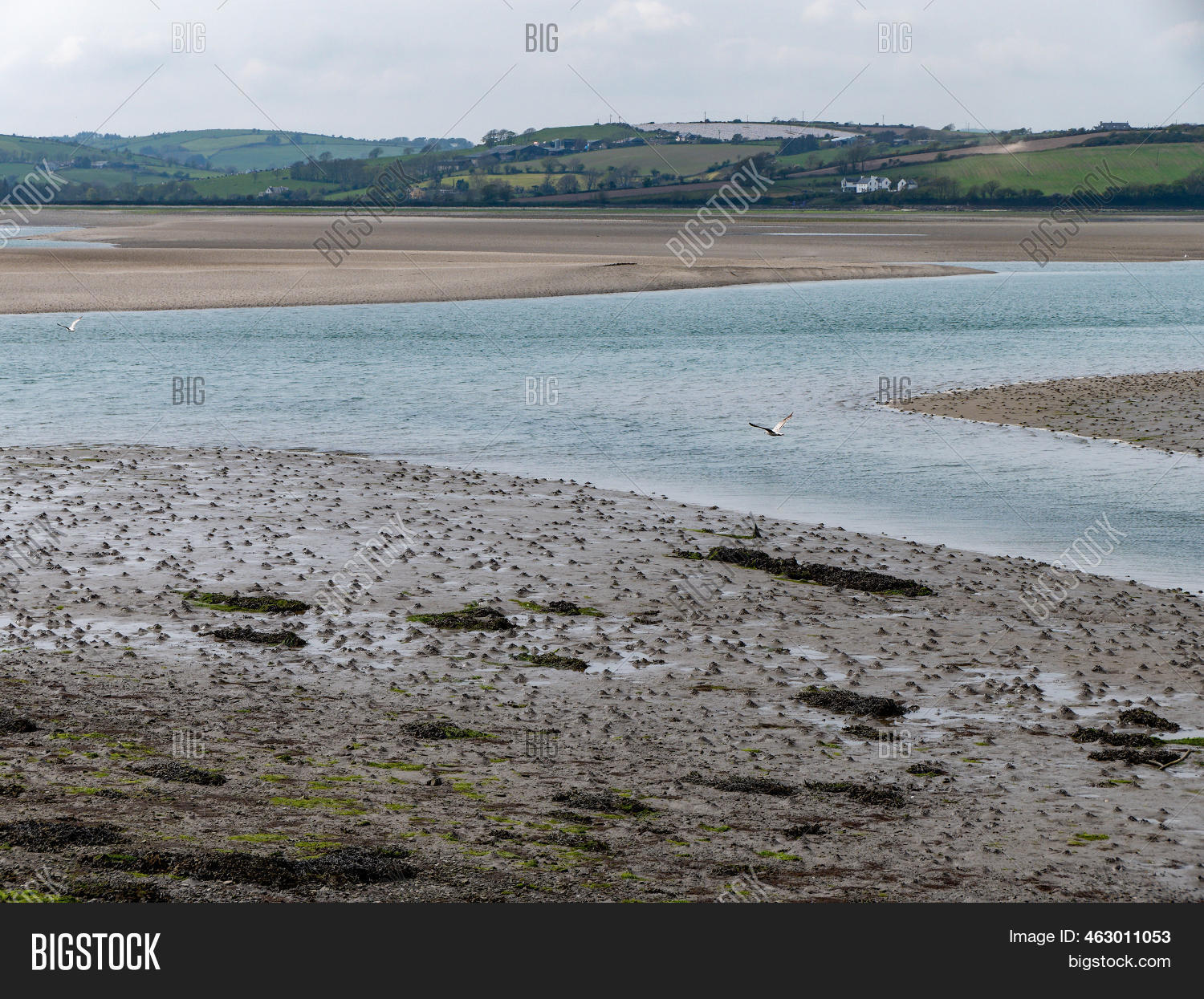 Silt On Seabed. Image & Photo (Free Trial) | Bigstock