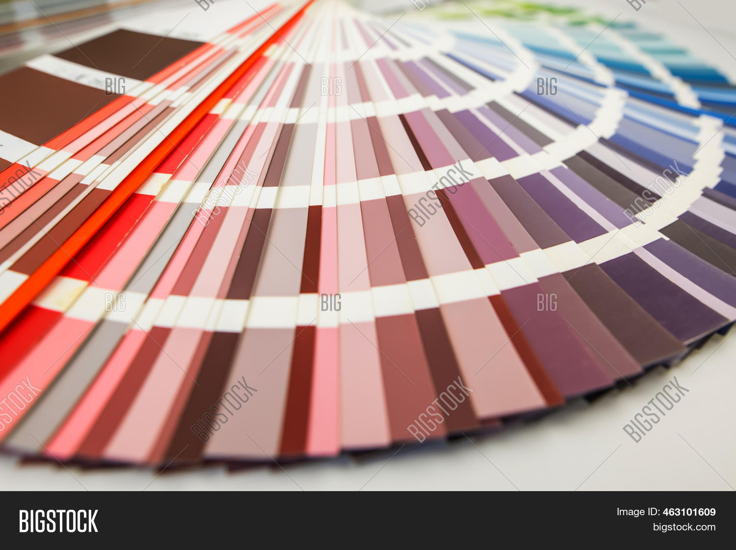 Color Guide Close . Image & Photo (Free Trial) | Bigstock