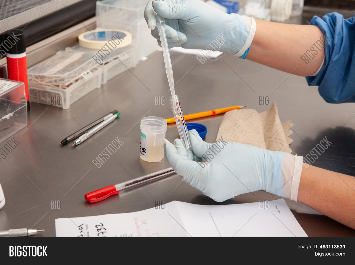 Scientist Preparing Image & Photo (Free Trial) | Bigstock