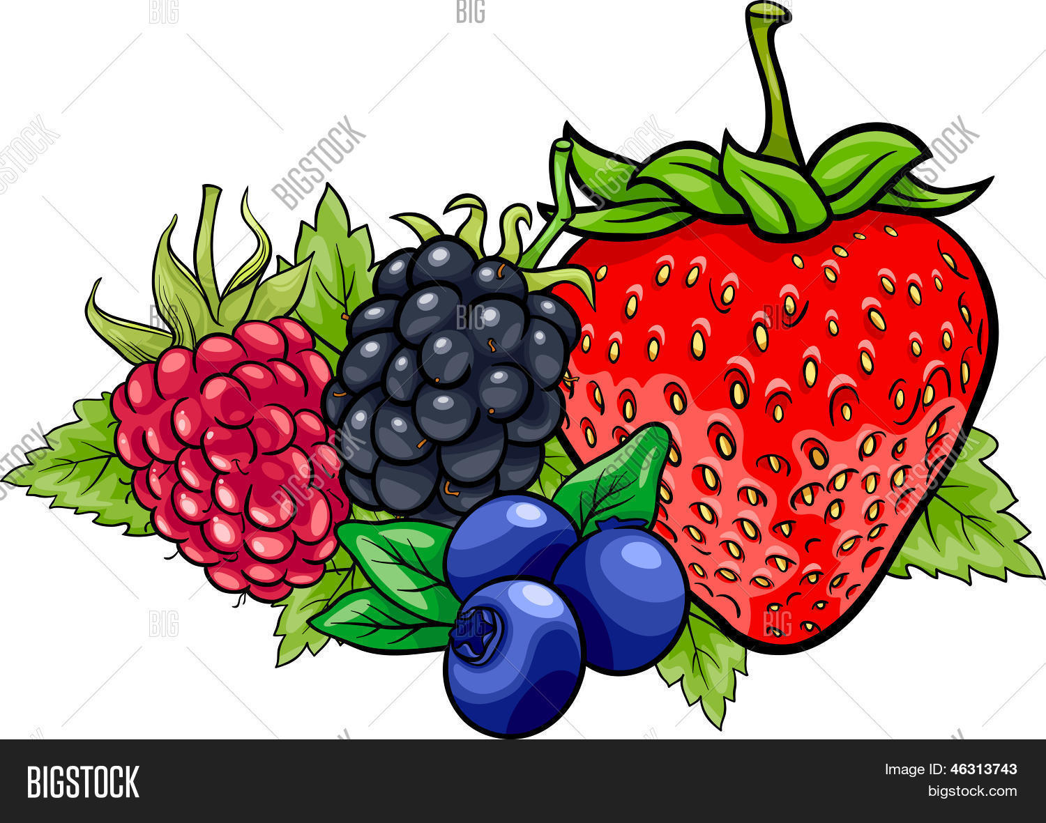 Berry Fruits Cartoon Vector & Photo (Free Trial) | Bigstock