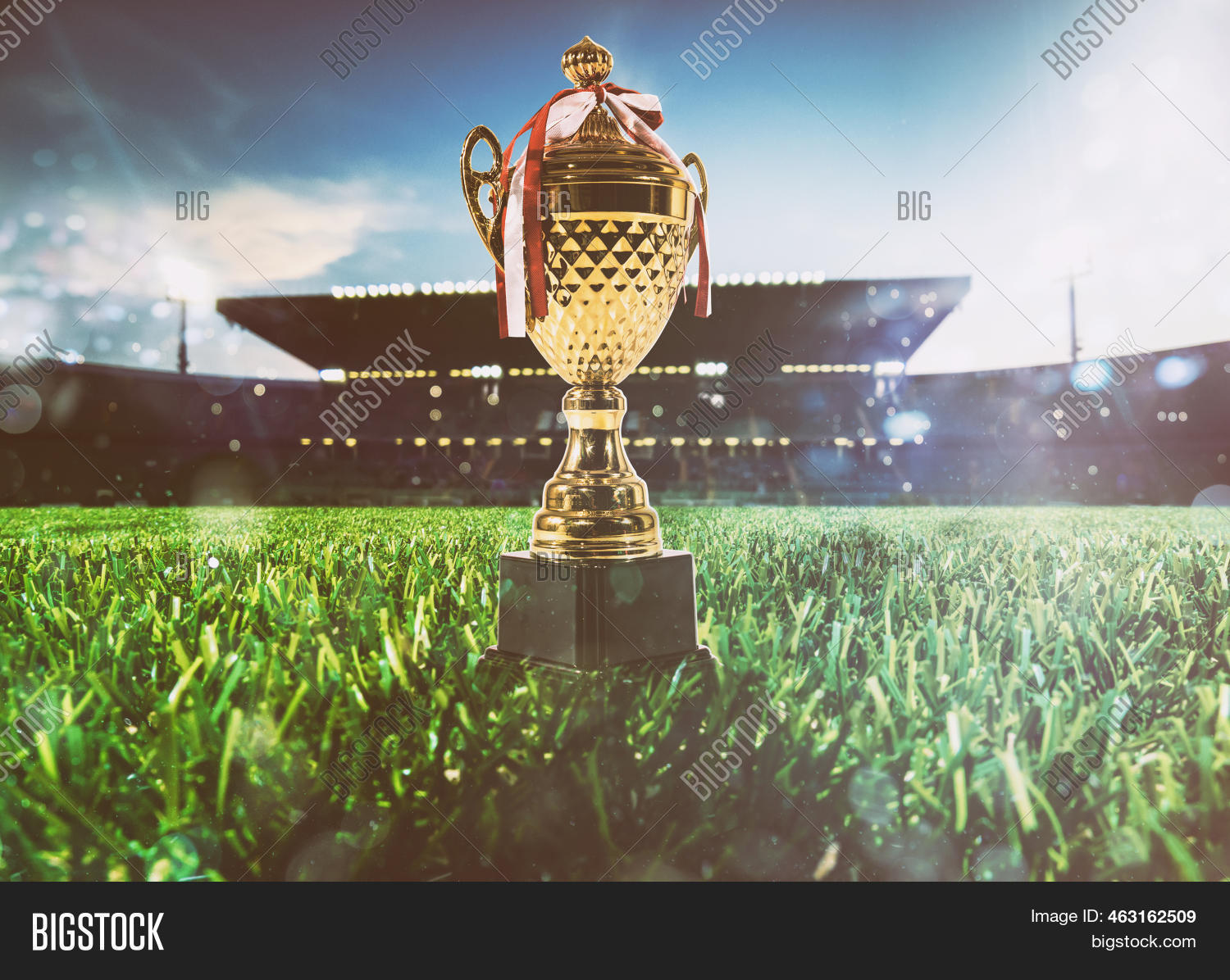 Trophy Winning Team Image & Photo (Free Trial) | Bigstock