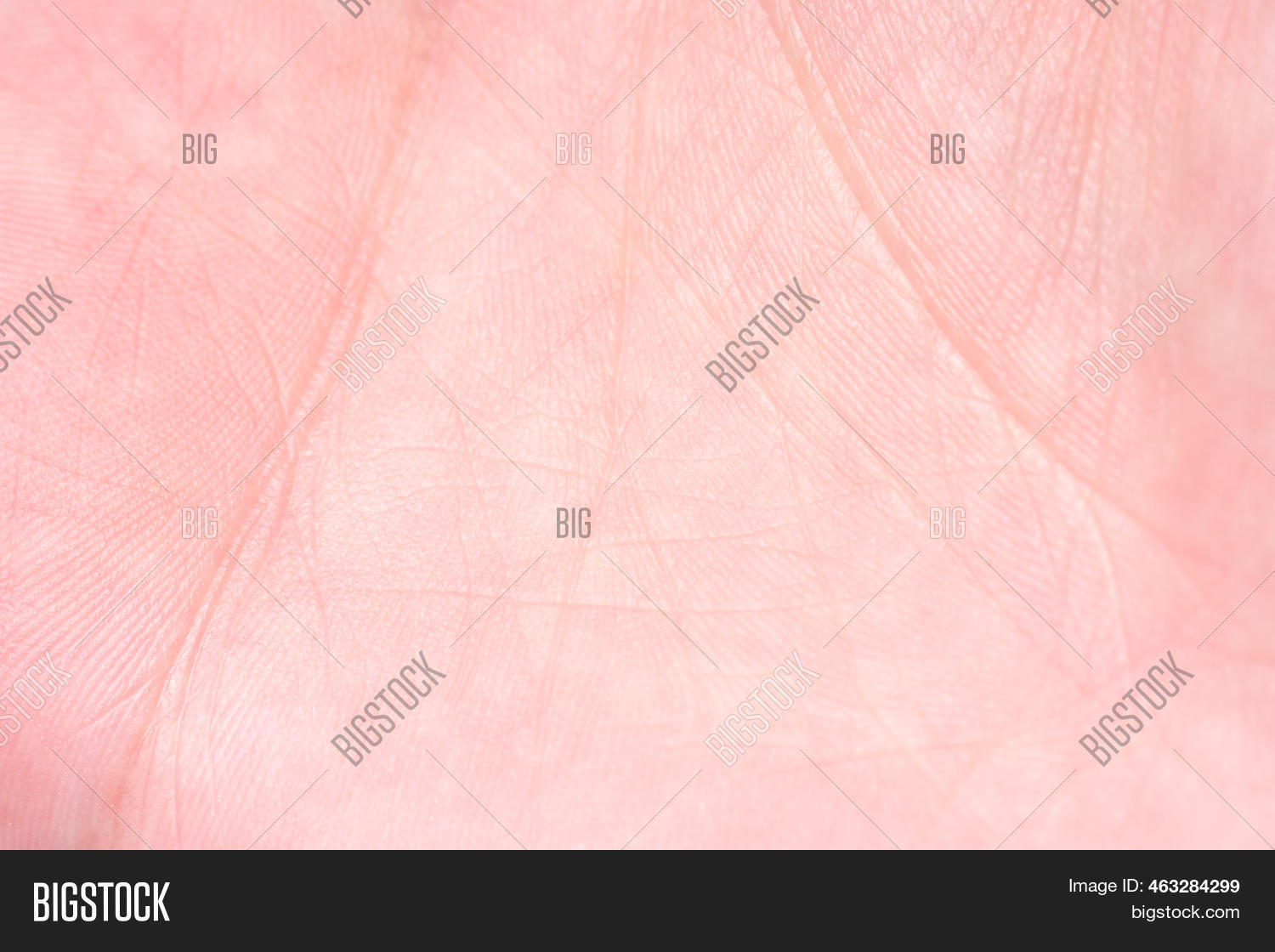 Background Pink Skin Image & Photo (Free Trial) | Bigstock