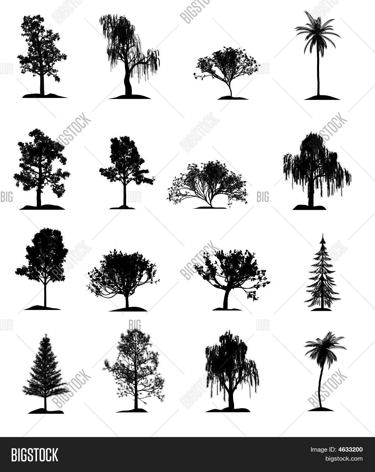 Set Trees Image & Photo (Free Trial) | Bigstock