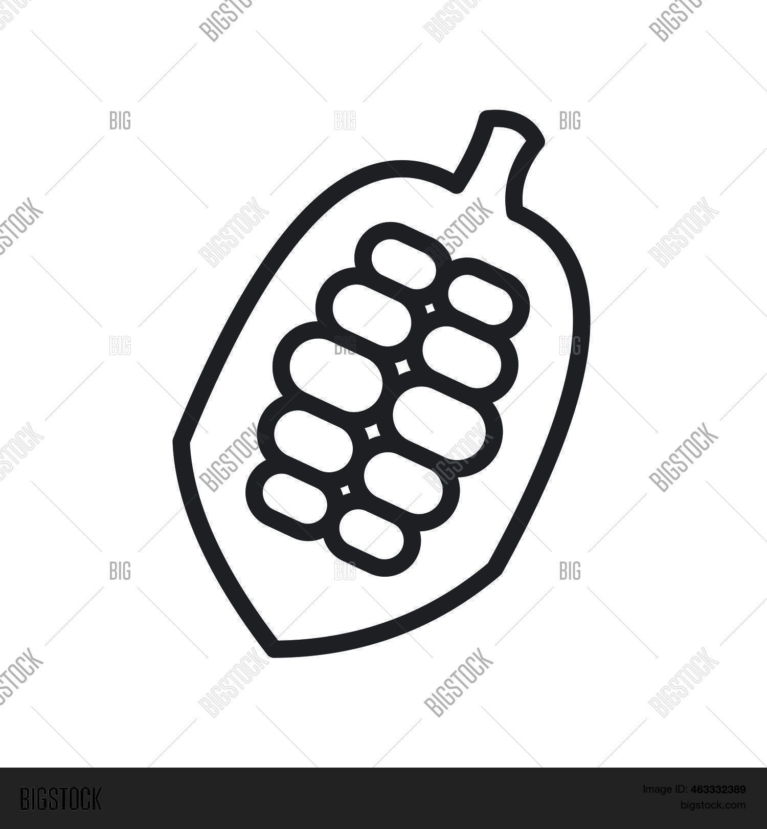 Cocoa Icon Template Vector & Photo (Free Trial) | Bigstock