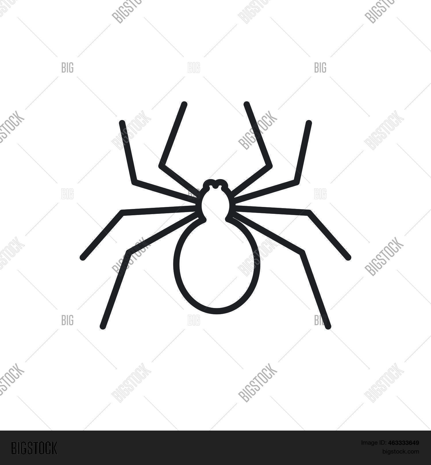 Spider Icon Template Vector & Photo (Free Trial) | Bigstock