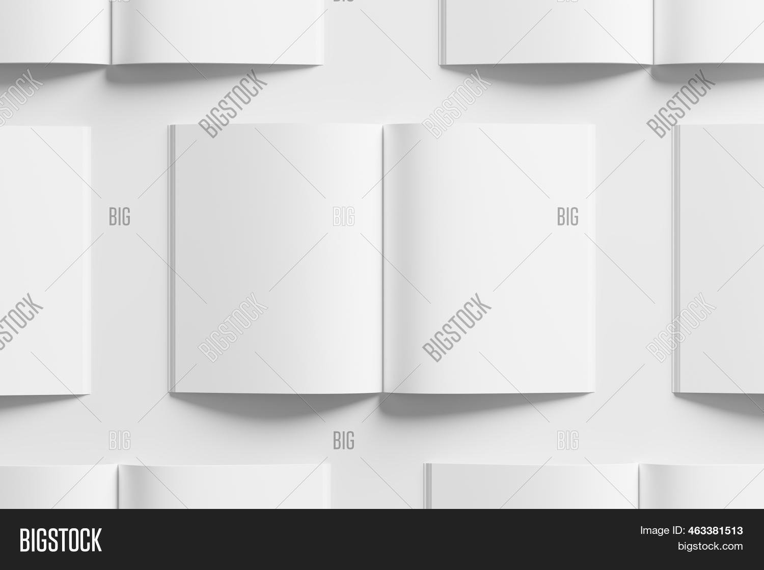 Us Letter Size Image & Photo (Free Trial) | Bigstock