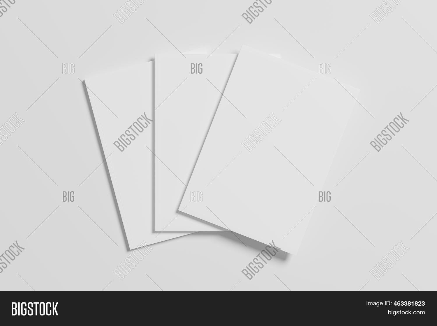 Us Letter Size Image & Photo (Free Trial) | Bigstock