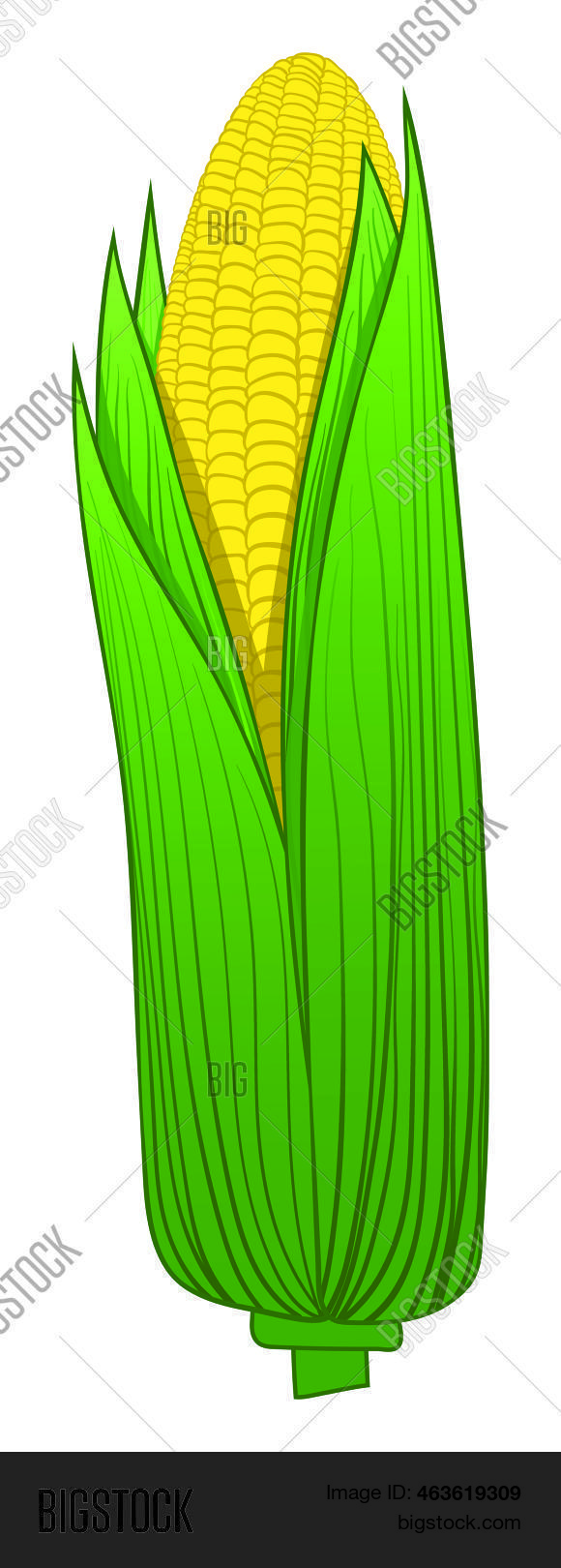 Corn Cartoon Isolated Vector & Photo (Free Trial) | Bigstock