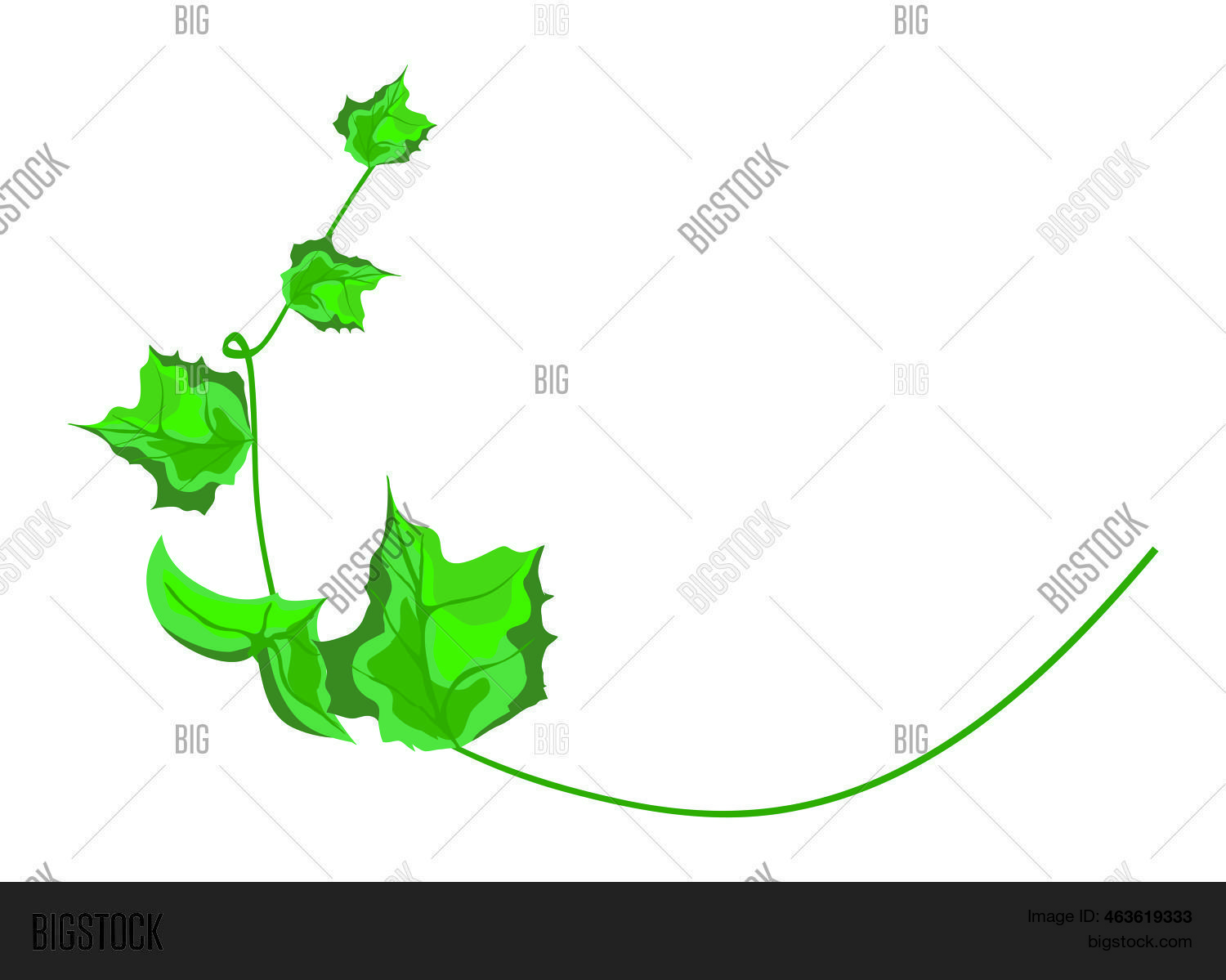 Pumpkin Stem Sprout Vector & Photo (Free Trial) | Bigstock
