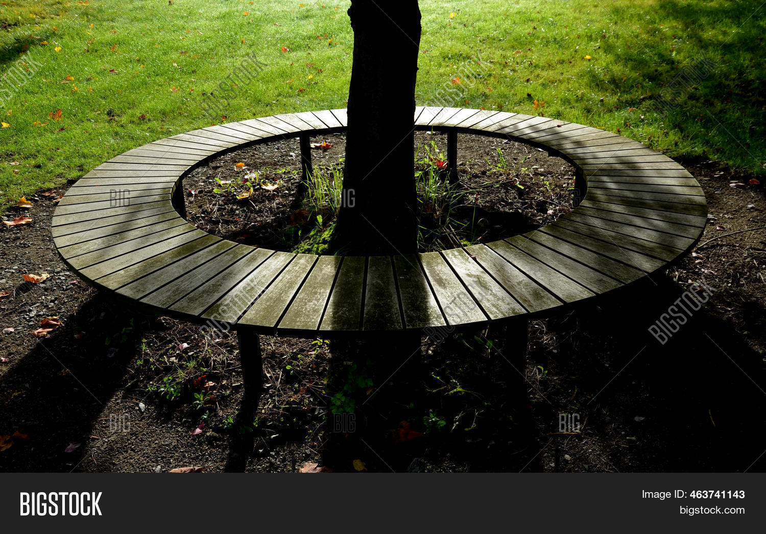 Bench Sitting Round Image & Photo (Free Trial) | Bigstock