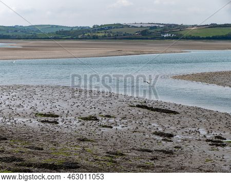 Silt On Seabed. Image & Photo (Free Trial) | Bigstock