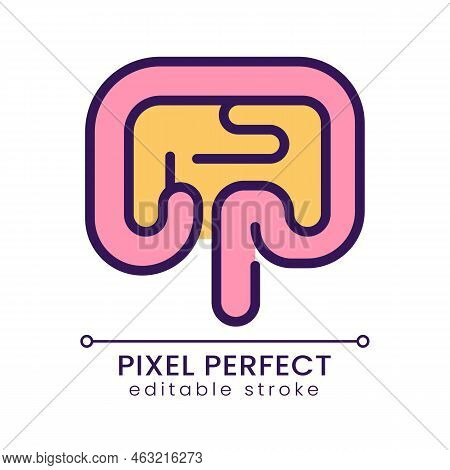 Human Bowel Pixel Vector & Photo (Free Trial) | Bigstock
