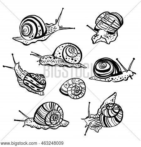 Realistic Vector & Photo (Free Trial) | Bigstock