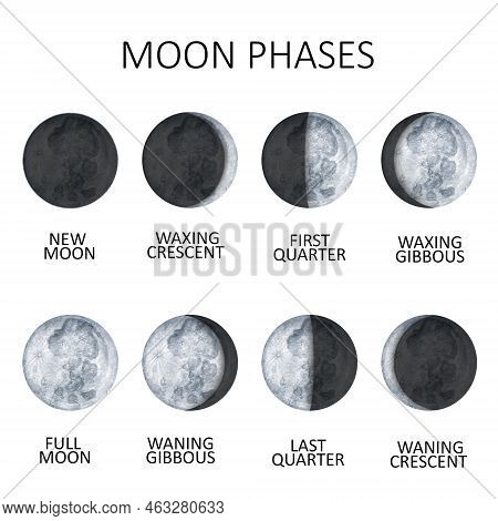 Moon Phases On White Image & Photo (Free Trial) | Bigstock