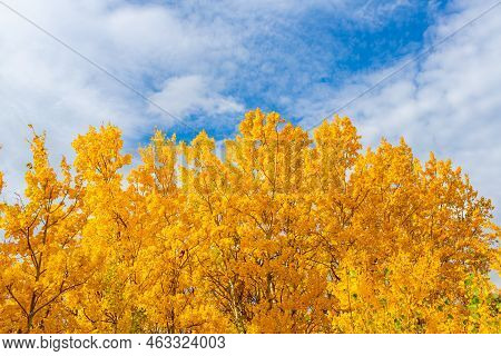Autumn Prairie Landscape Images, Illustrations & Vectors (Free) - Bigstock