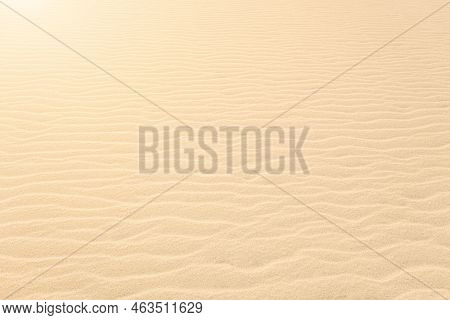 Close On Beach Sand Image & Photo (Free Trial) | Bigstock