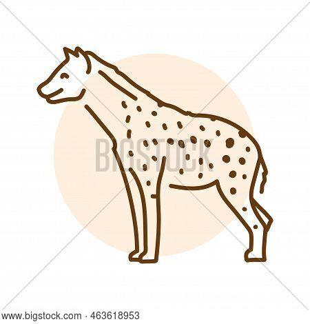 Hyena Color Line Vector & Photo (Free Trial) | Bigstock