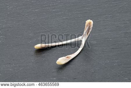 Chicken Wishbone Make Image & Photo (Free Trial) | Bigstock