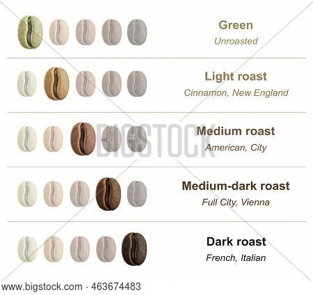 Coffee Infographic.. Image & Photo (Free Trial) | Bigstock