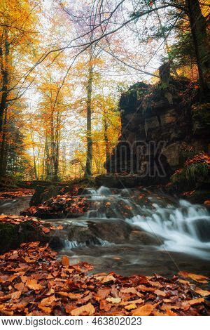 Autumn Forest Scenery Image & Photo (Free Trial) | Bigstock