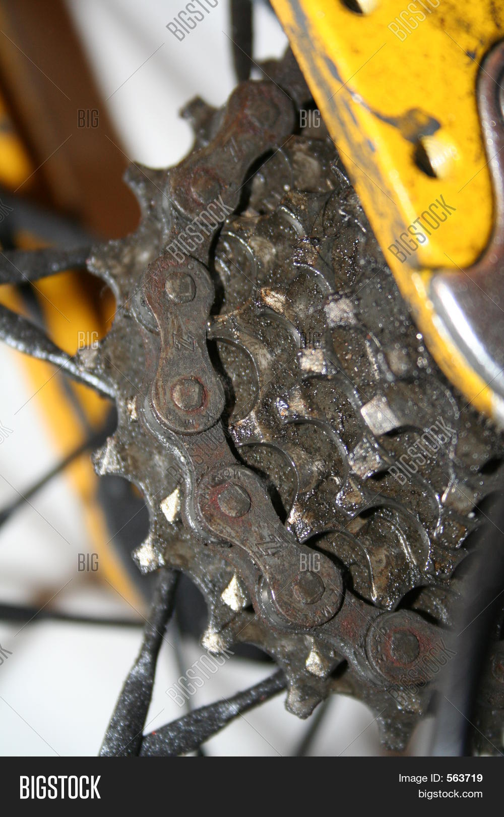 Bike Chain Sprockets Image & Photo (Free Trial) | Bigstock