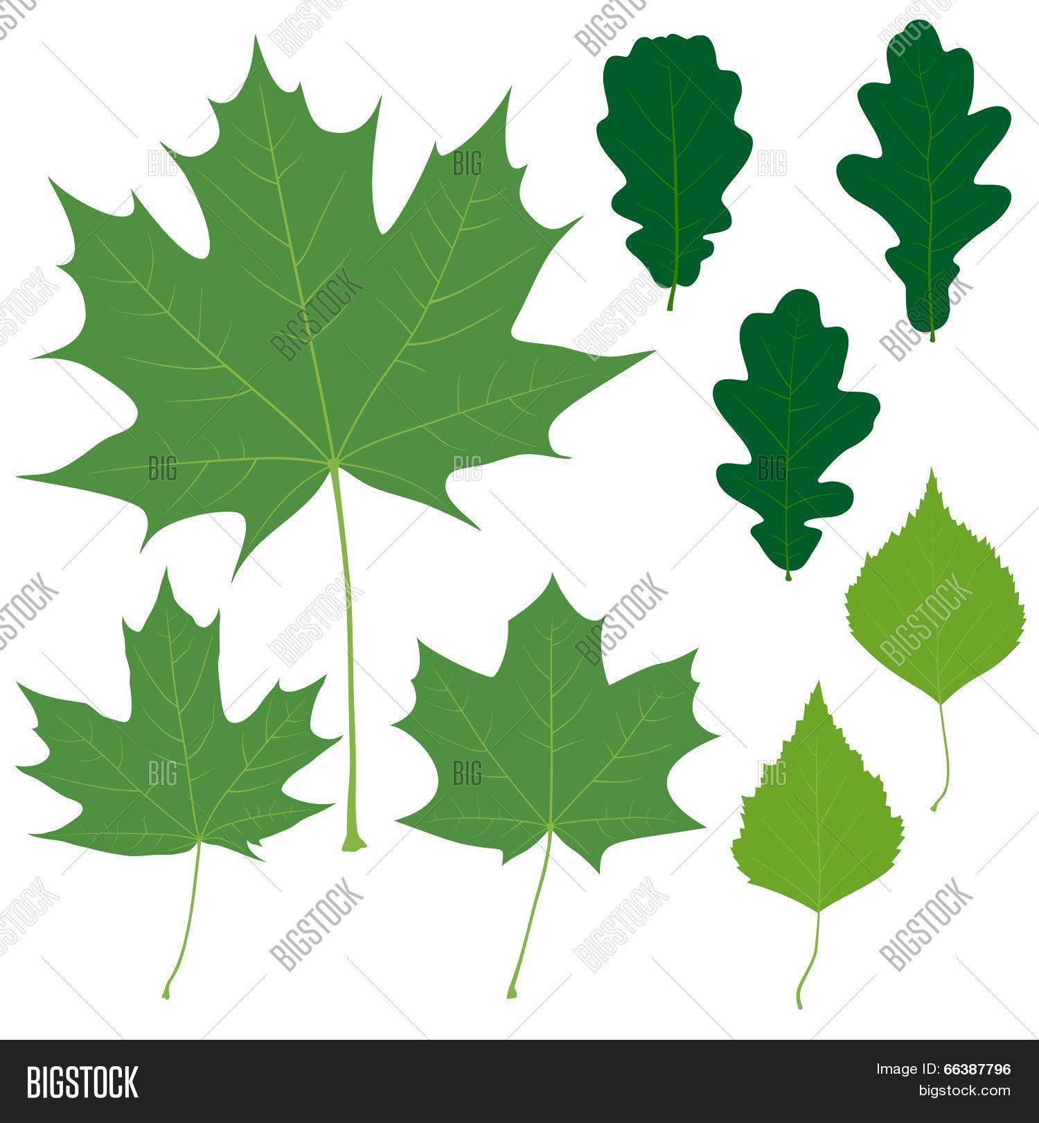 Set Eight Vector Vector & Photo (Free Trial) | Bigstock