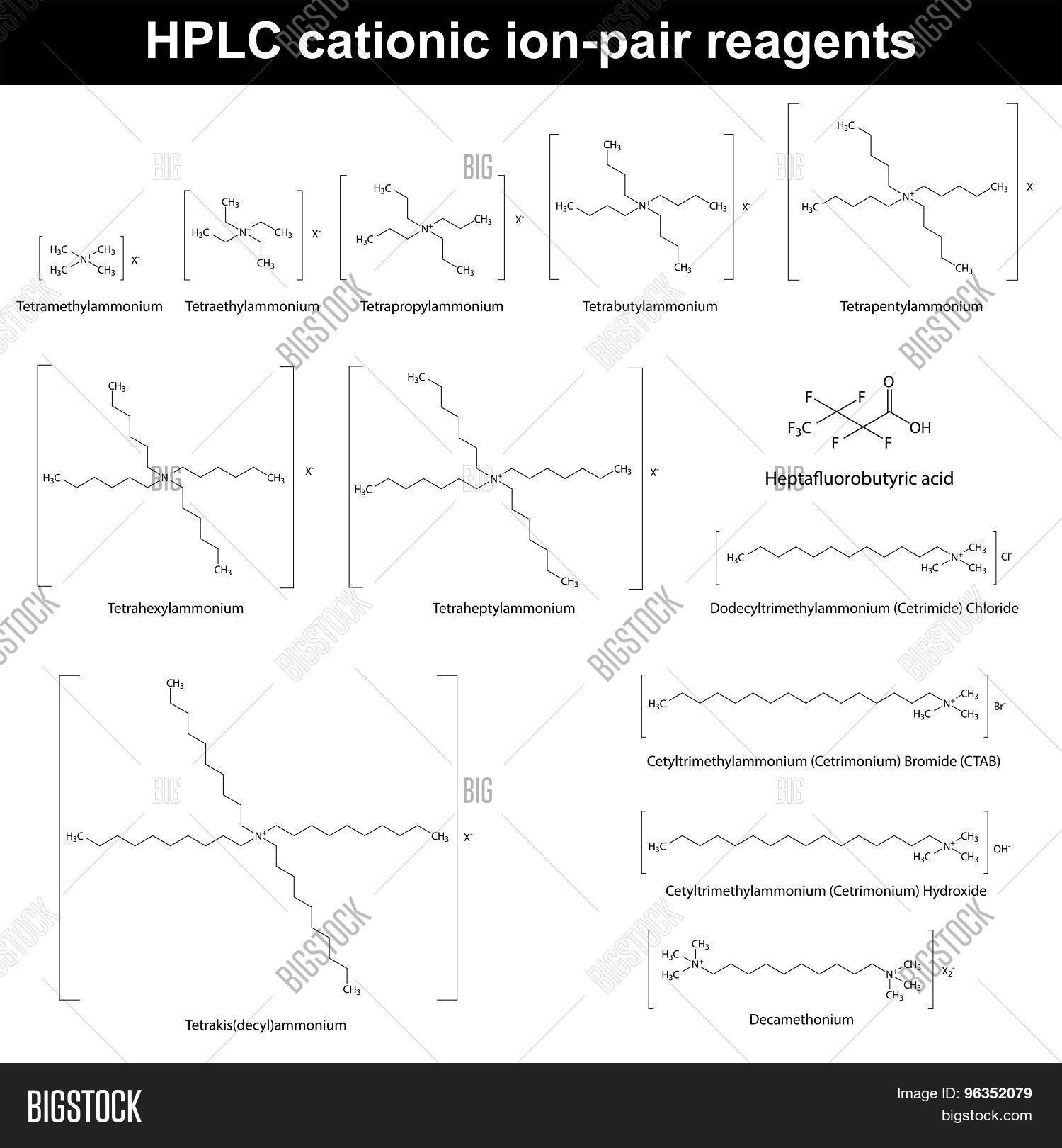 Hplc Cationic Ion Vector & Photo (Free Trial) | Bigstock
