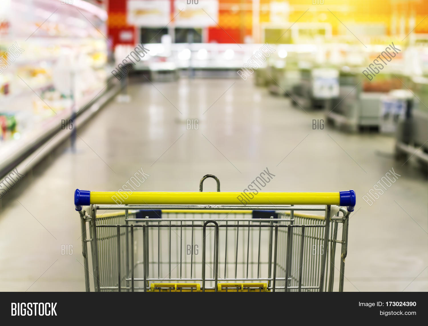 Imagen y foto Cart Grocery Store (prueba gratis) | Bigstock