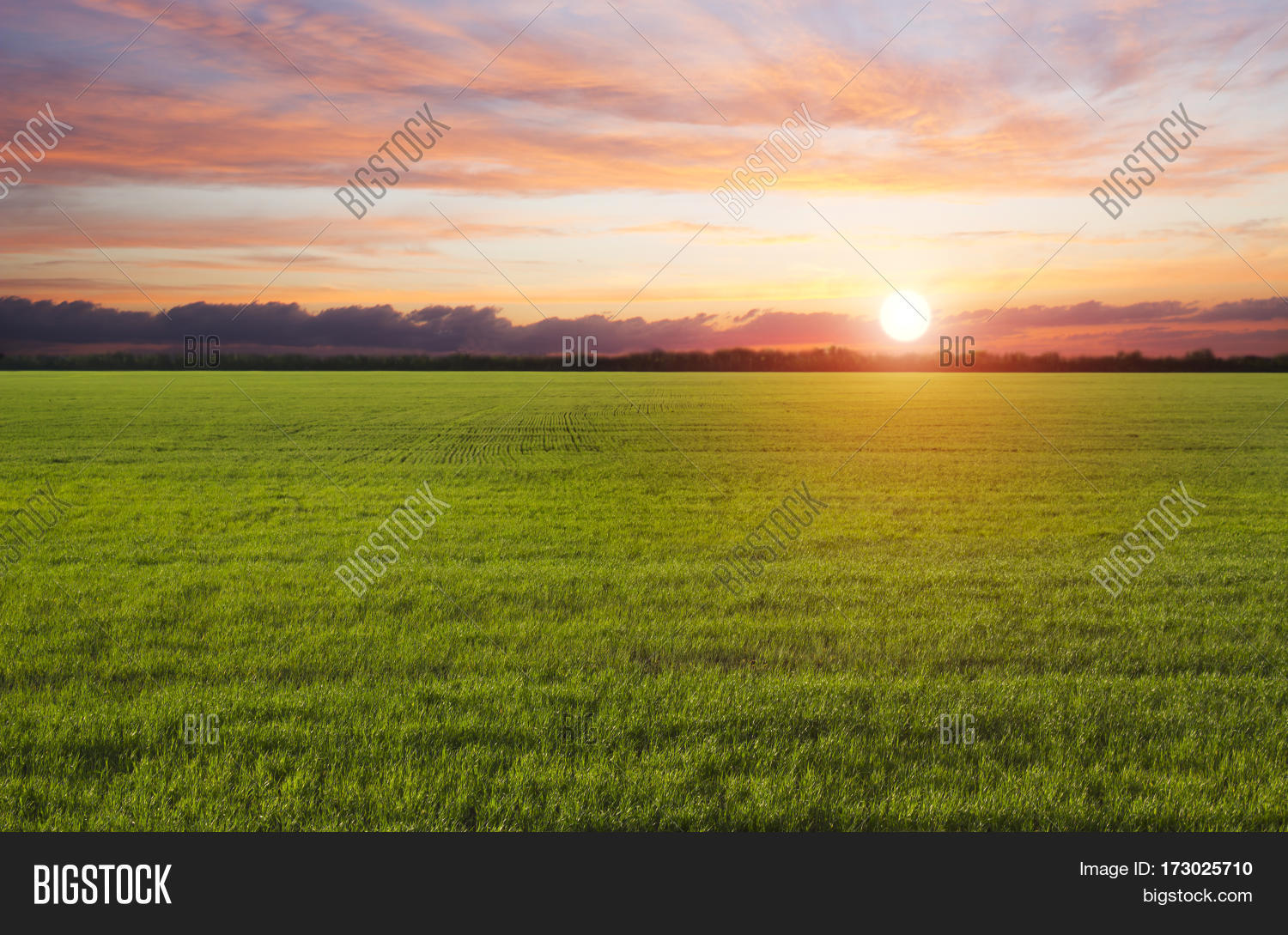 Green Field Sunset. Image & Photo (Free Trial) | Bigstock