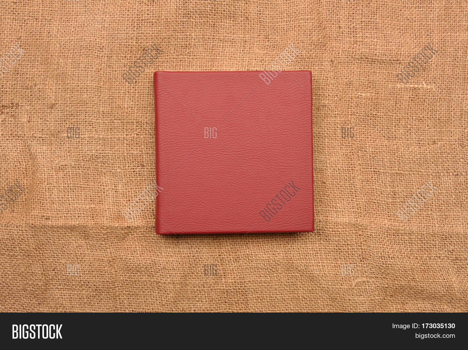 Picture Red Leather Image & Photo (Free Trial) | Bigstock